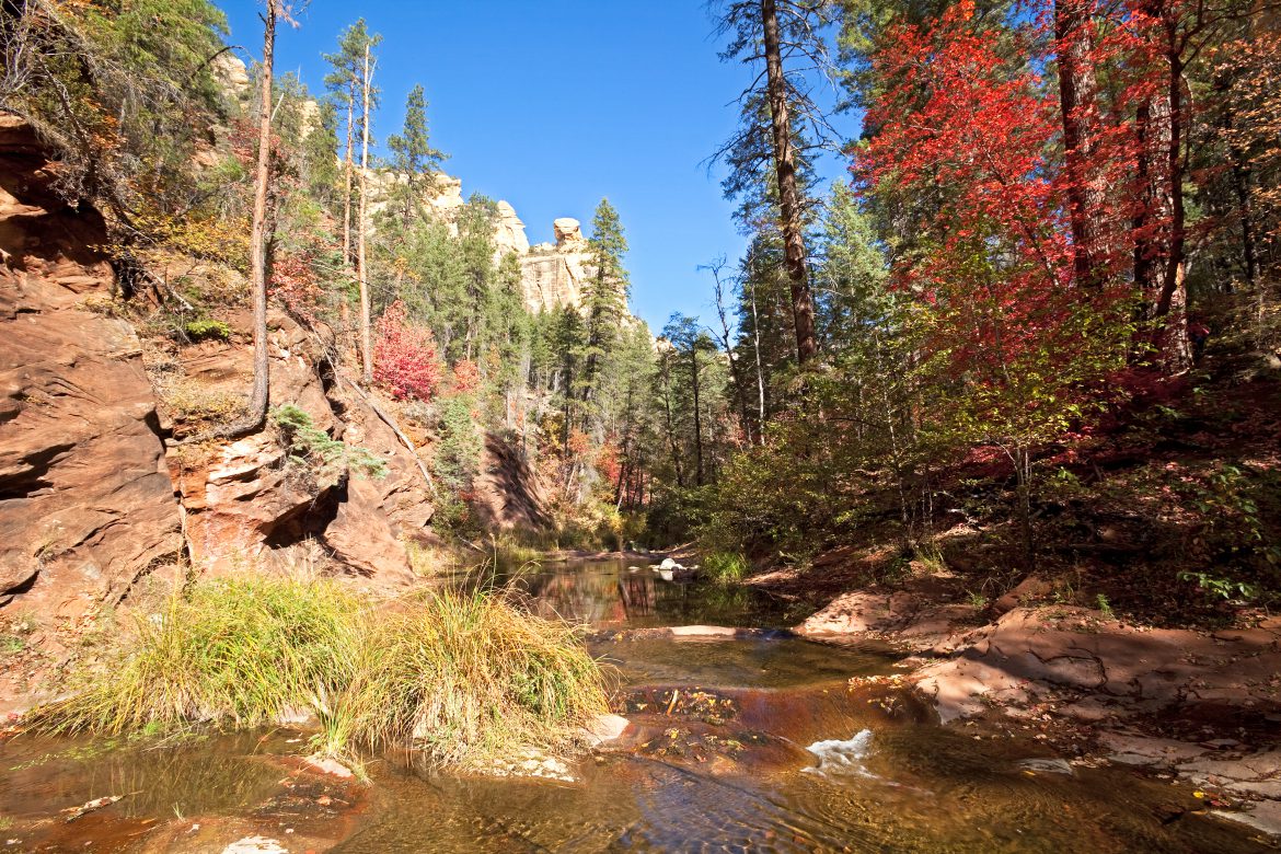 Travel Tuesday Spotlight: Coconino National Forest - RV Lifestyle News ...