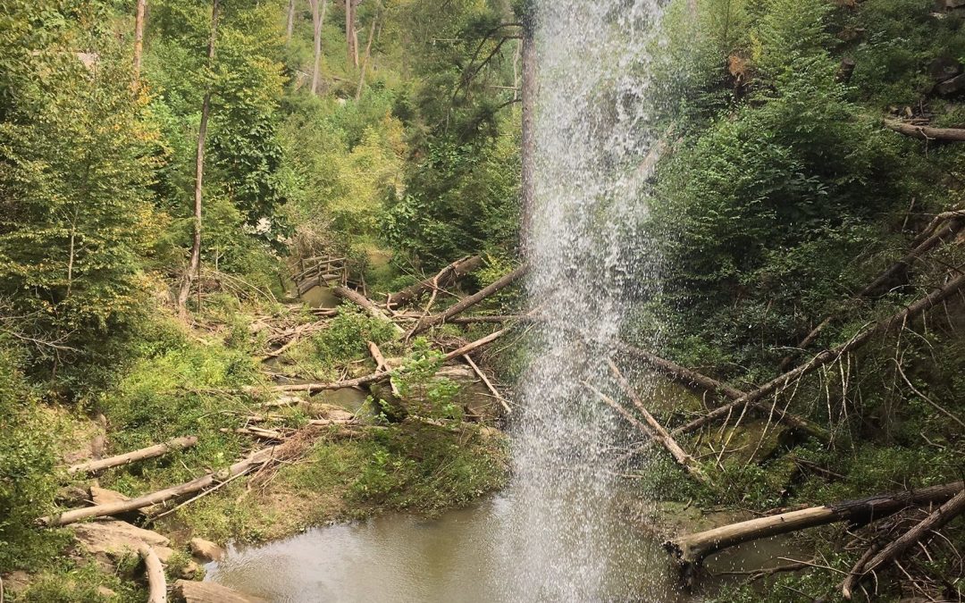 Broke Leg Falls - RV Lifestyle News, Tips, Tricks and More from RVUSA!