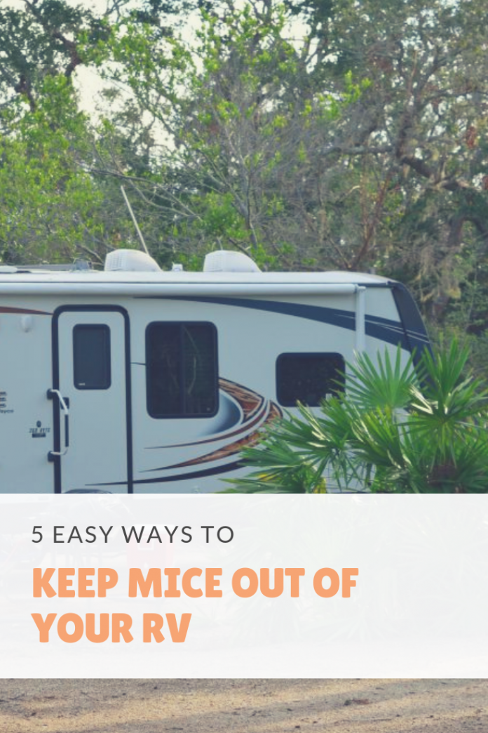 5 Ways To Keep Mice Out Of Your RV - RV Lifestyle News, Tips, Tricks ...