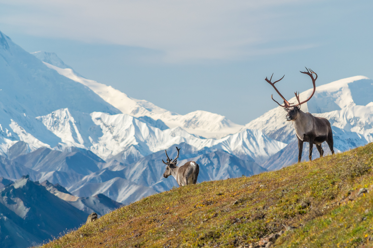 Best Things to Do in Alaska - RV Lifestyle News, Tips, Tricks and More ...