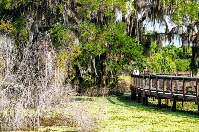 Best Hiking Trails in Florida - RV Lifestyle News, Tips, Tricks and ...