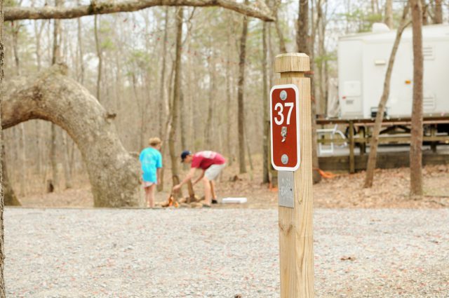 How to Get a National Park Camp Host Job - RV Lifestyle News, Tips ...