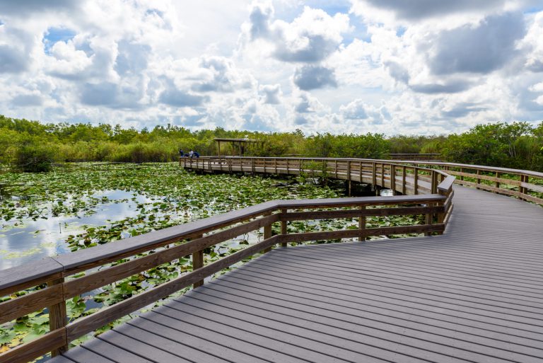 Best Hiking Trails in Florida - RV Lifestyle News, Tips, Tricks and ...