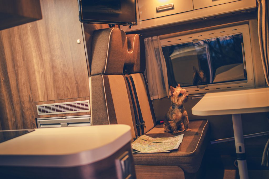 Tips for Pet Safe RVing - RV Lifestyle News, Tips, Tricks and More from ...