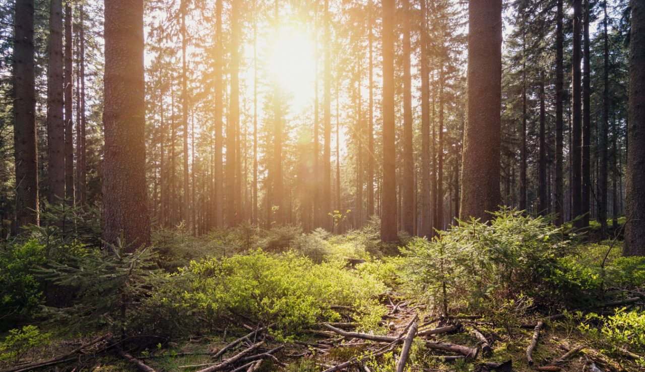 7 Most Haunted Campgrounds in the US - RV Lifestyle News, Tips, Tricks ...